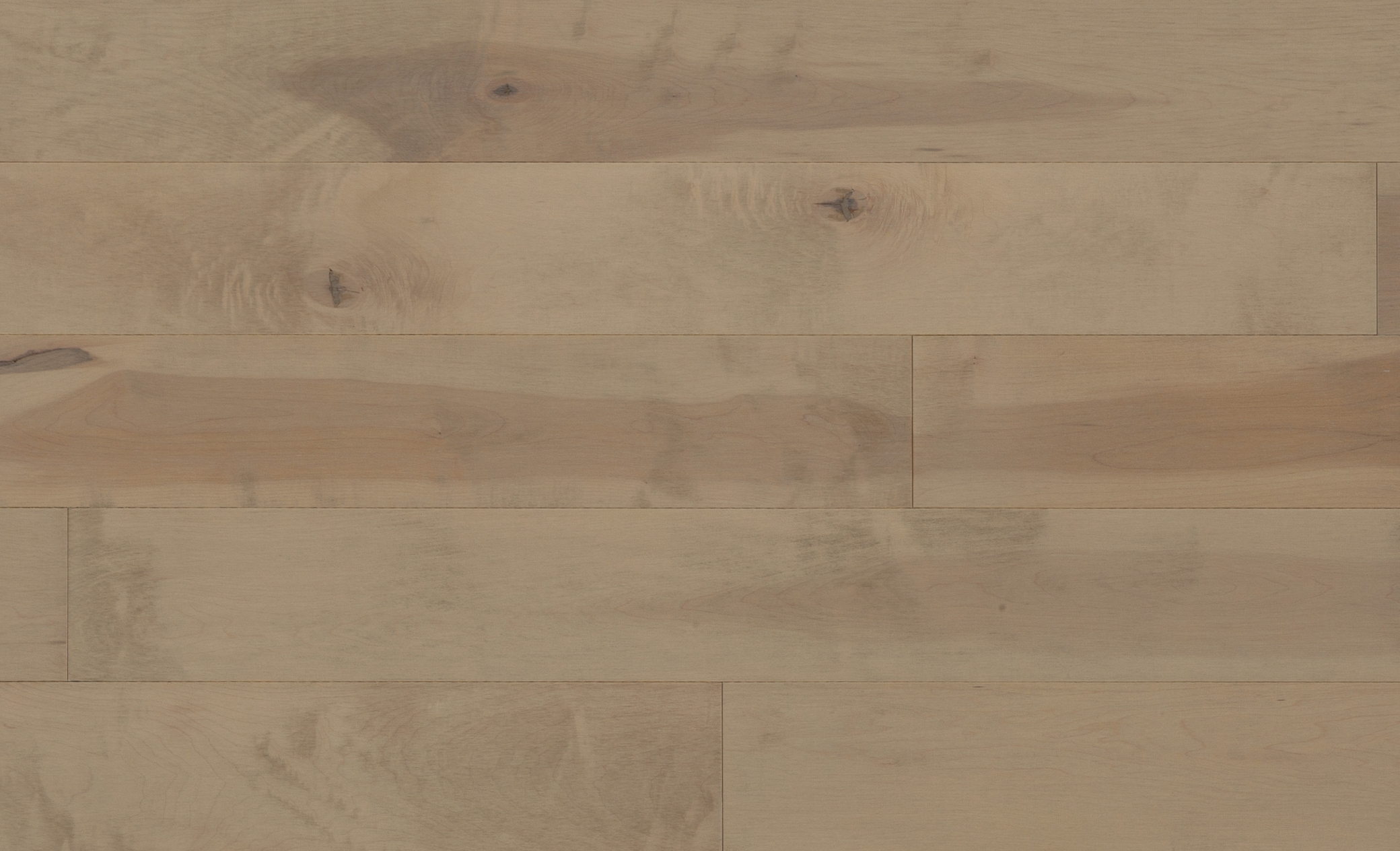 Hard Maple Ivoor | Design + | Mercier Wood flooring